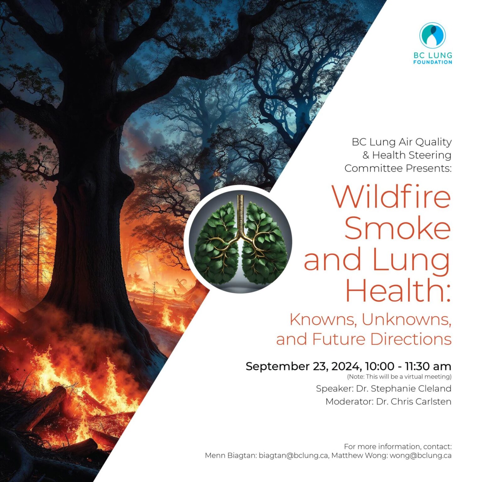 Wildfire Smoke & Lung Health – BC Lung Foundation